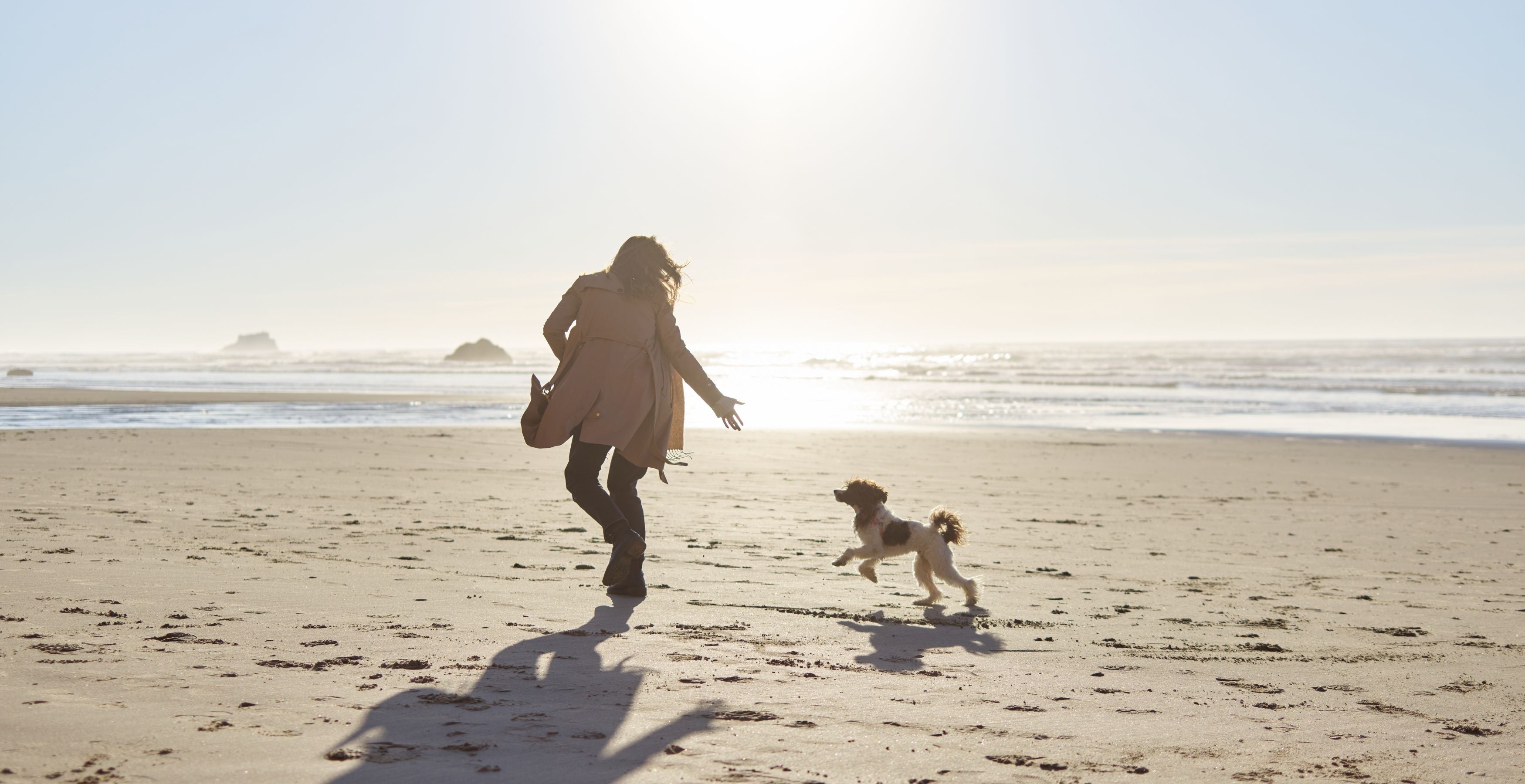 Choosing The Perfect Length Longline For Your Next Adventure – Swaggerpaws